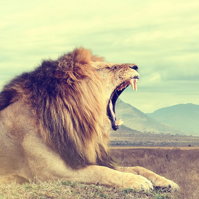 SEGroup | featured-1