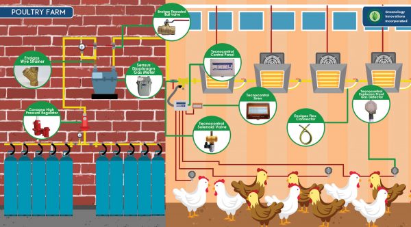 SEGroup | Poultry Infographics